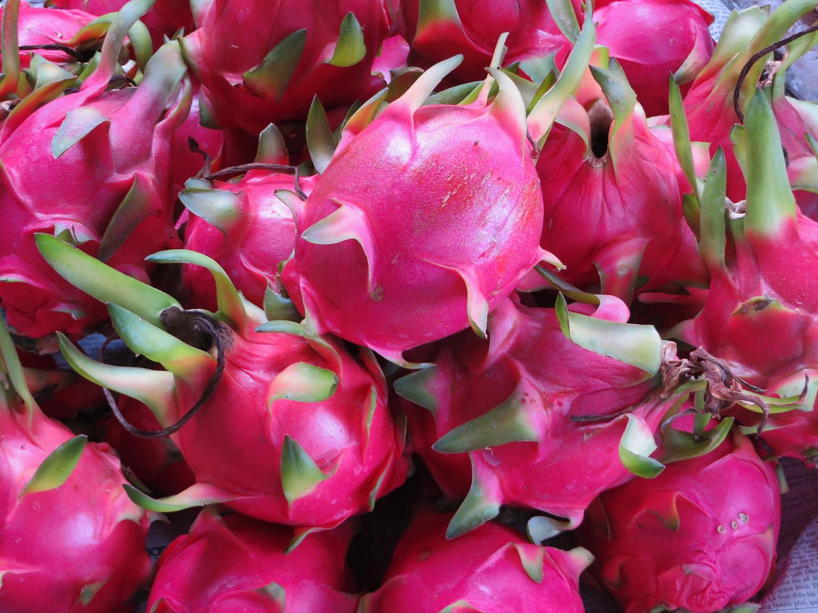 Drachenfrucht (Pitaya, Pitahaya) – Die magische Frucht mit zahlreichen ...
